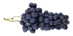 Nossas Uvas - Agrivale