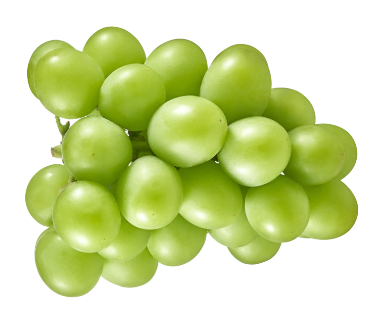 Nossas Uvas - Agrivale