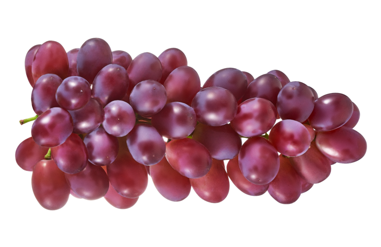 Nossas Uvas - Agrivale