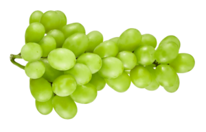 Nossas Uvas - Agrivale